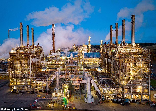 STEPHEN DAISLEY: Respire hondo y dígalo… el crecimiento económico es ...